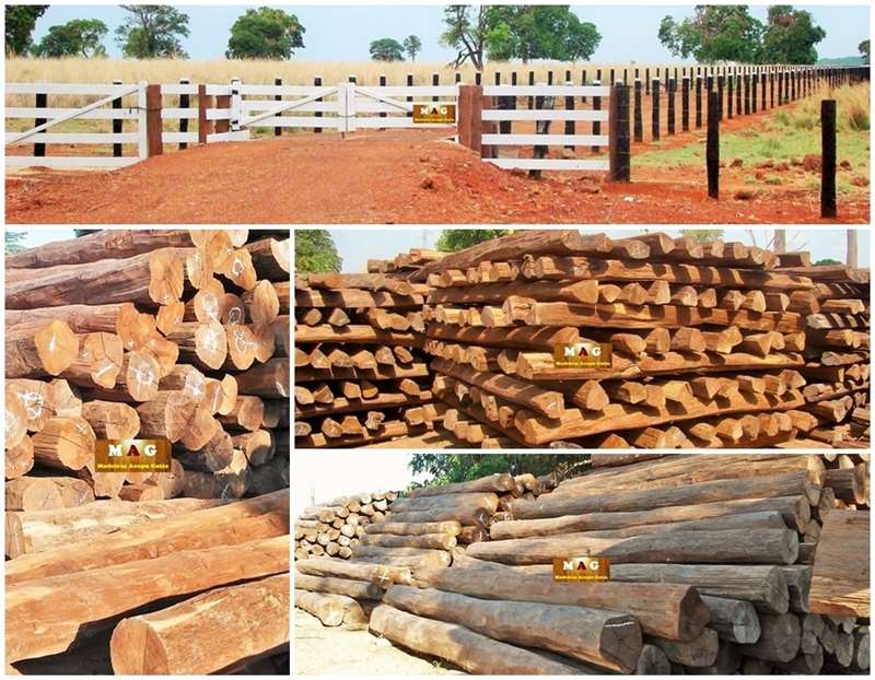 Madeiras De Acapu Para Fazer Cercas E Currais - Agroads