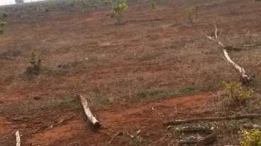 Fazenda 3.080 Há Soja/milho/capim Canarana Mt - R$35000000 - Agroads
