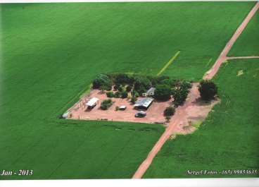 Fazenda 800ha Lucas Do Rio Verde/mt - 234 - R$320000 - Agroads