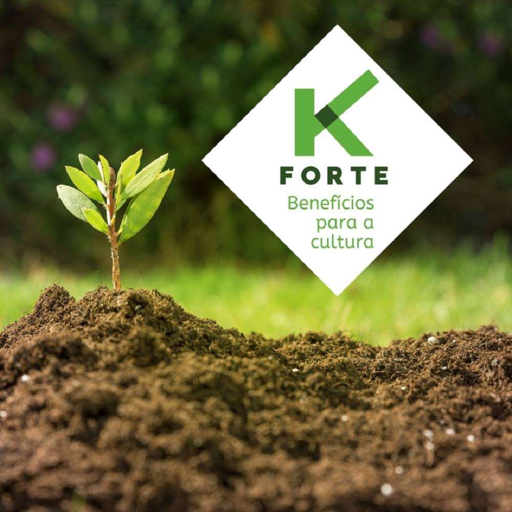 K Forte Fertilizante Mineral (fonte De Potássio) - Agroads
