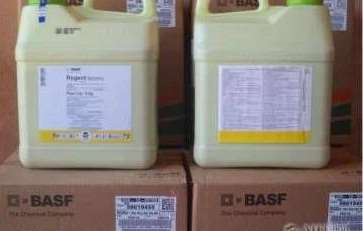Regent Wg 800 Basf Regent 800 Wg - R$2300 - Agroads