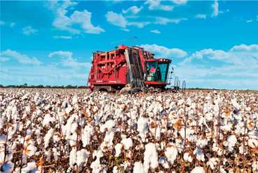 Colheita Module Express 635 Case Ih - Ano: 2014 - Agroads