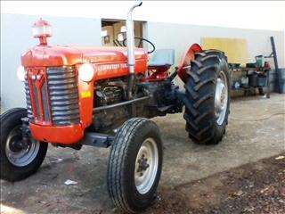 Trator - Massey Ferguson - Mf 65 - Ano: 1973 - Agroads